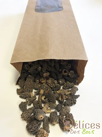 Champignons sauvages déshydratés appertisés • Industrie